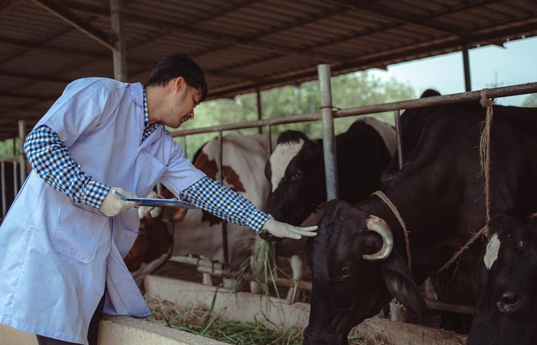 AgTech innovations in Livestock Production | Wikifarmer