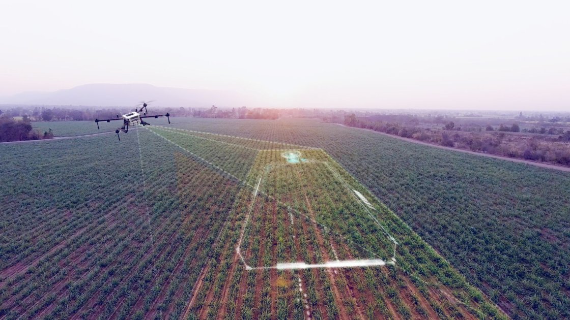 How can vegetation indices help to improve crop growth and yield ...