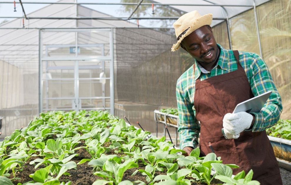 The Potential for Combining Hydroponics and Crop Circle Farming with ...