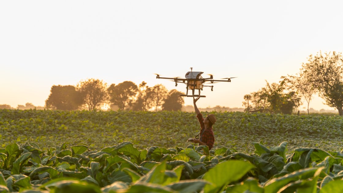 The potential of using unmanned aerial vehicles (UAV) for precision ...