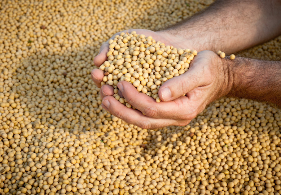 How to improve the Seed Counting efficiency during the Agricultural ...