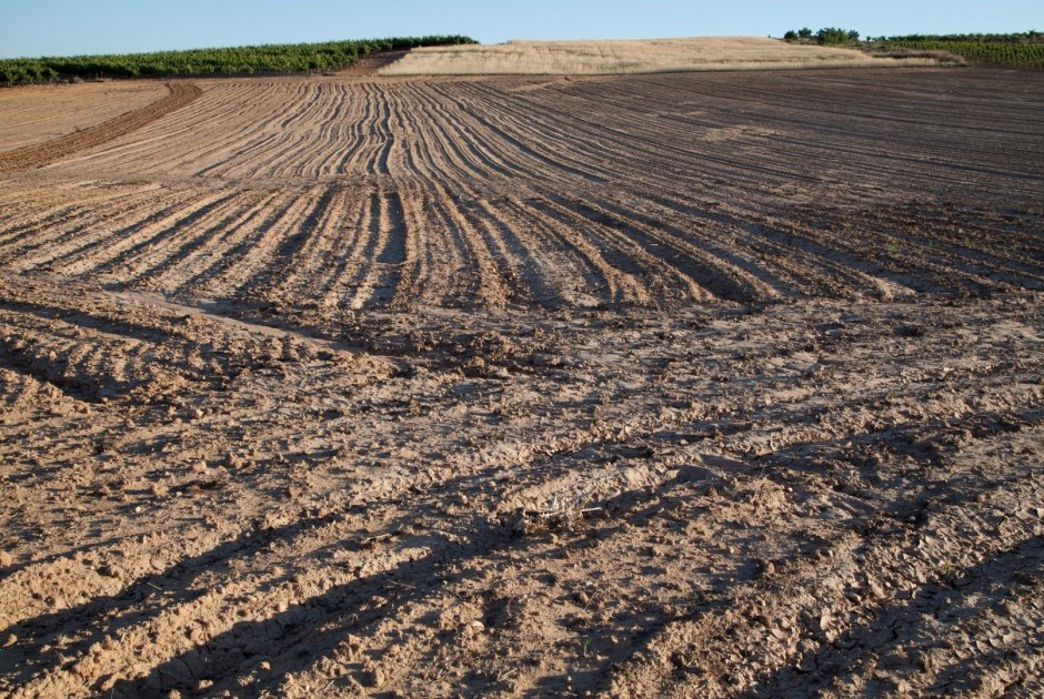 What is fallow land - fallowing? | Wikifarmer