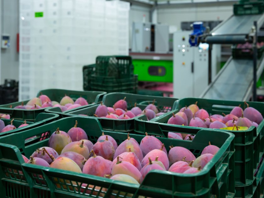 Tecnologías de irradiación para almacenar verduras y frutas | Wikifarmer