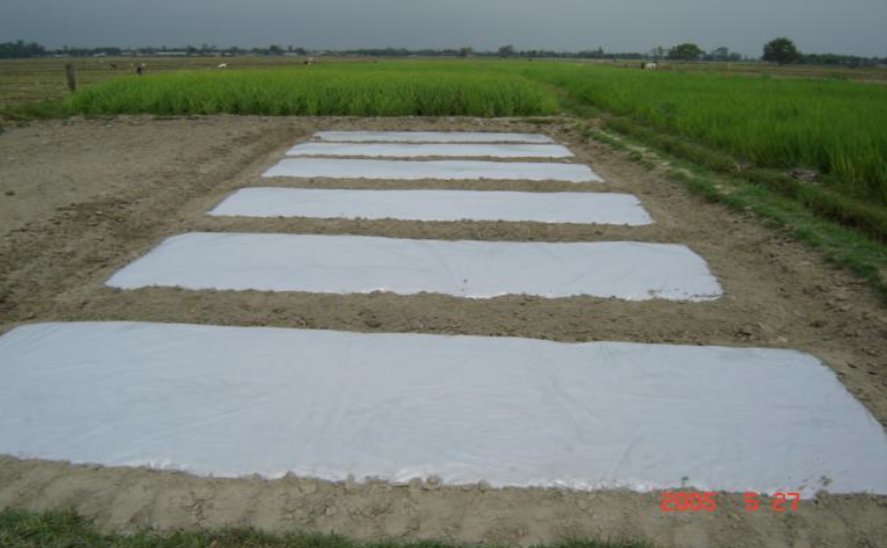 Solarization: A Comprehensive Guide to an Eco-Friendly Soil Treatment ...