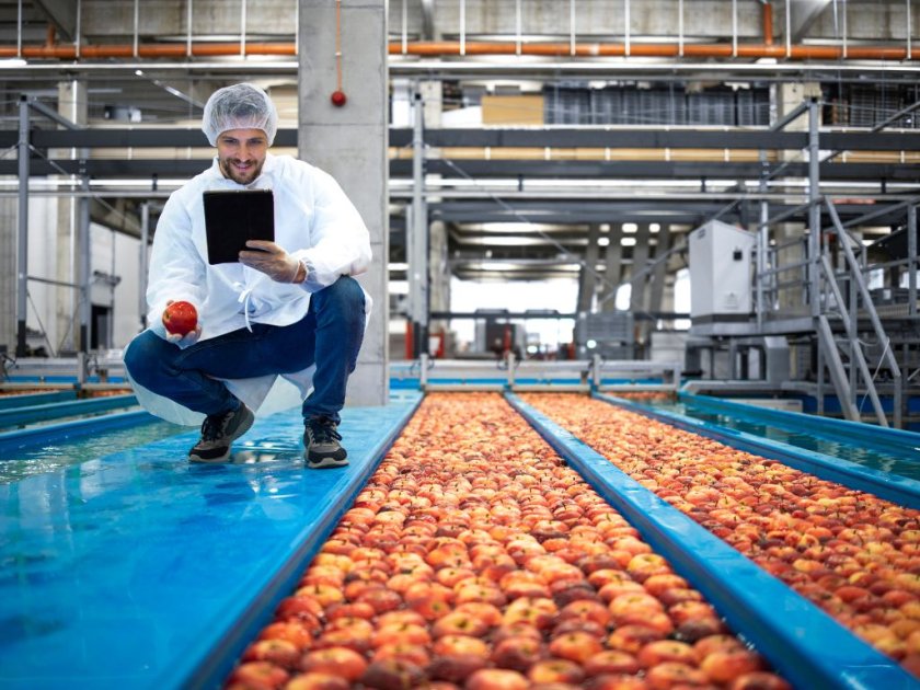 Quality in Fresh-cut Fruits: Approach to Reduce Food Waste and Food ...