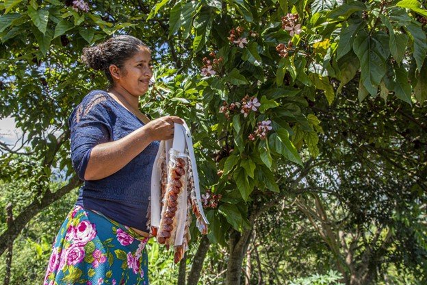 Women’s Role in Sustainable Farming - Real-life examples | Wikifarmer