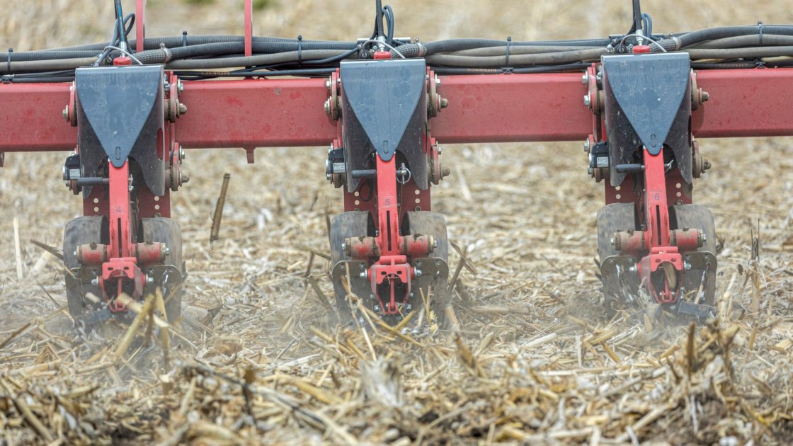 Beneficios de la labranza de conservación | Wikifarmer