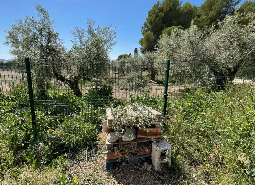 Build an Insect Hotel: Boost Biodiversity and Shelter for Garden ...