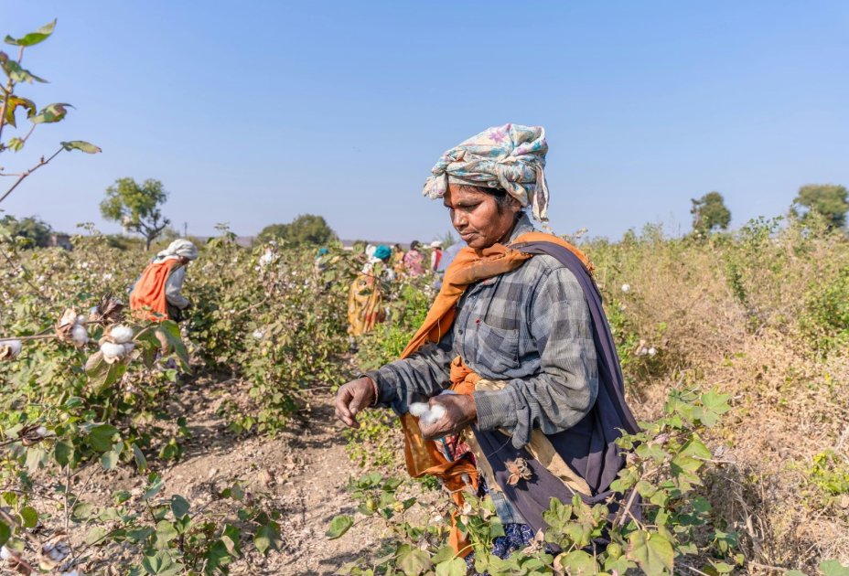 Preserving Indigenous Knowledge in Rural Communities for Sustainable ...