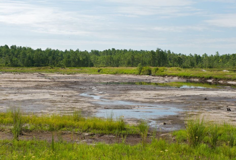 Что такое истощение природных ресурсов? | Wikifarmer