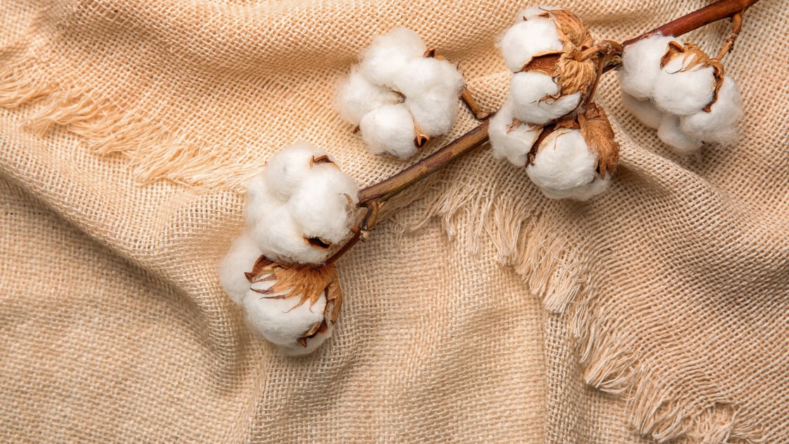 Comprehensive Guide to Plant Fibers: Types, Properties, and Examples ...