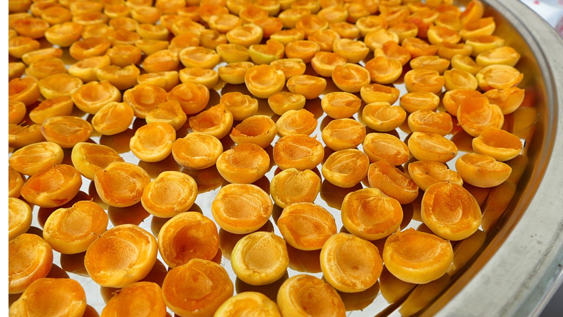 Kükürtlü (İslim) Kayısı Hakkında Genel Bilgiler | Wikifarmer