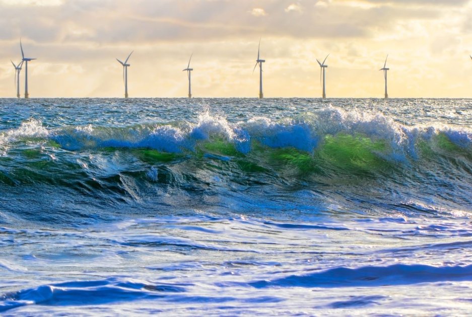 ¿Qué o cuáles son los recursos renovables? | Wikifarmer