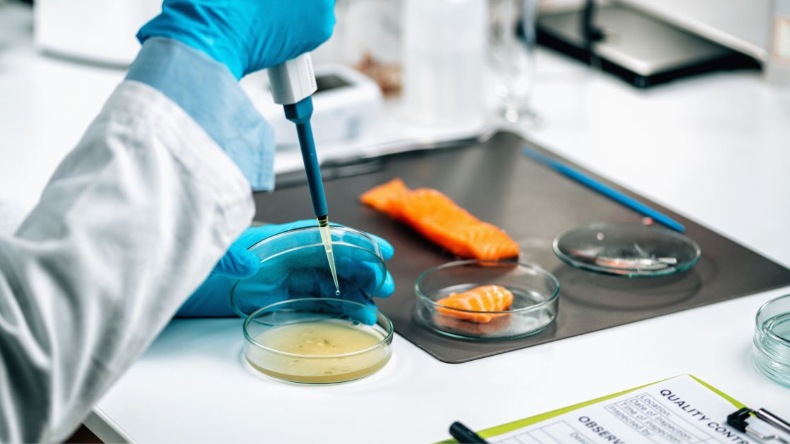 Safeguarding Your Plate: How High-Pressure Processing Enhances Food ...