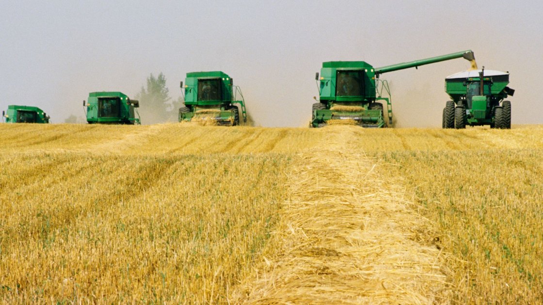 What is Green Revolution: History, Technologies, and Challenges ...