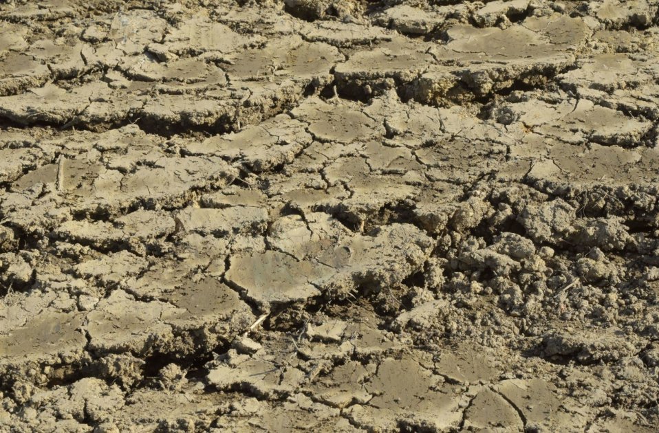 Che cos'è la compattazione del suolo? | Wikifarmer