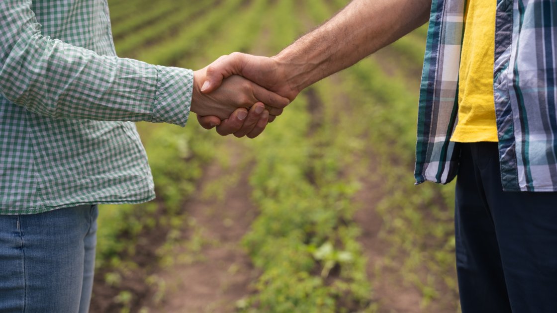 Contract Farming: Bridging the Gap Between Farmers and Buyers | Wikifarmer