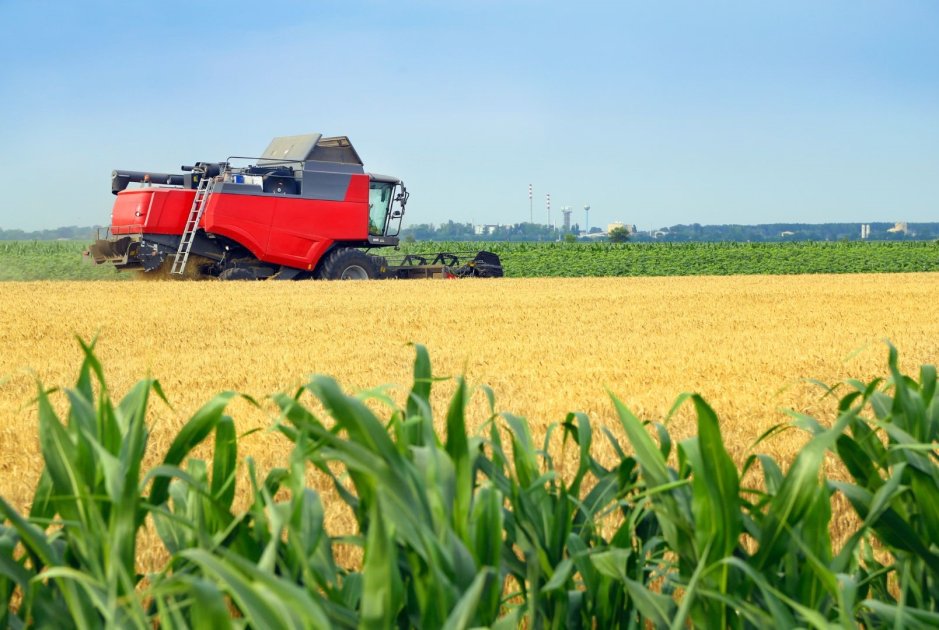 Types of Agriculture | Wikifarmer