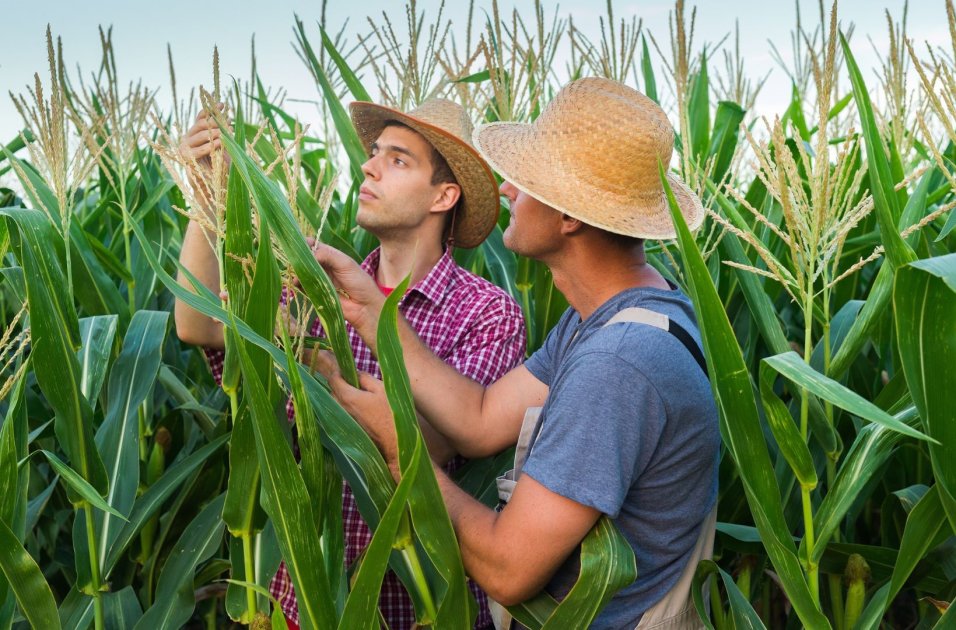 Empowering Farmers: The Importance of Agricultural Courses and Lifelong ...