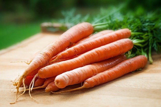 20 Cool Facts about Carrots | Wikifarmer