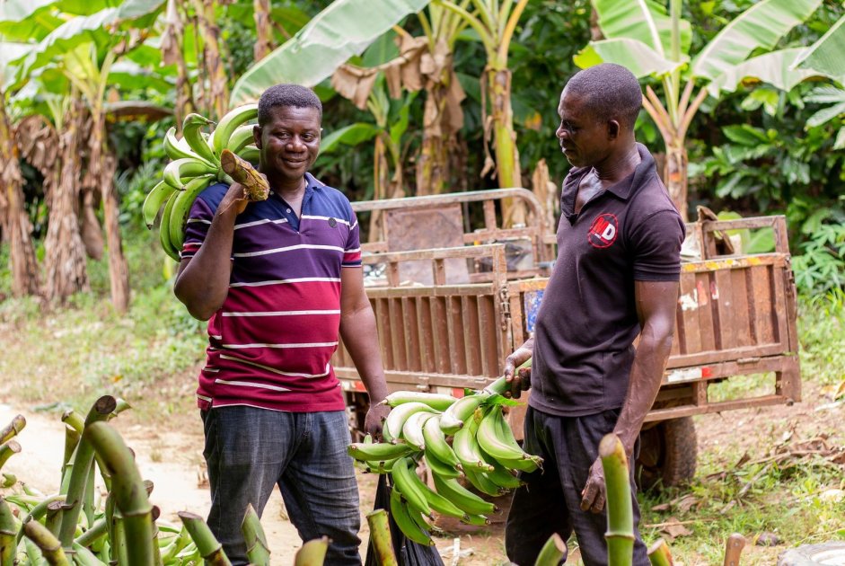 8 Approches Clés pour la Gestion des Risques pour les PME Agricoles afin d'Attirer des ...