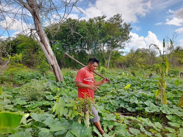 Boosting Family Farmers' Livelihoods with Regenerative Agriculture ...