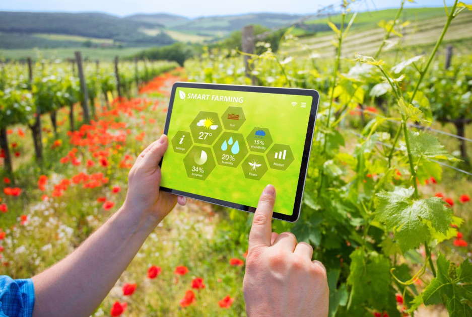 Vineyard Management Using Advanced Precision Viticulture Techniques ...