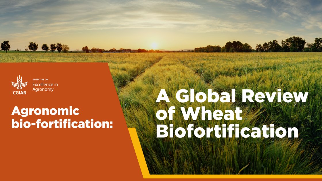 Invitation to Seminar: Enhancing Wheat Yield and Nutritional Quality ...