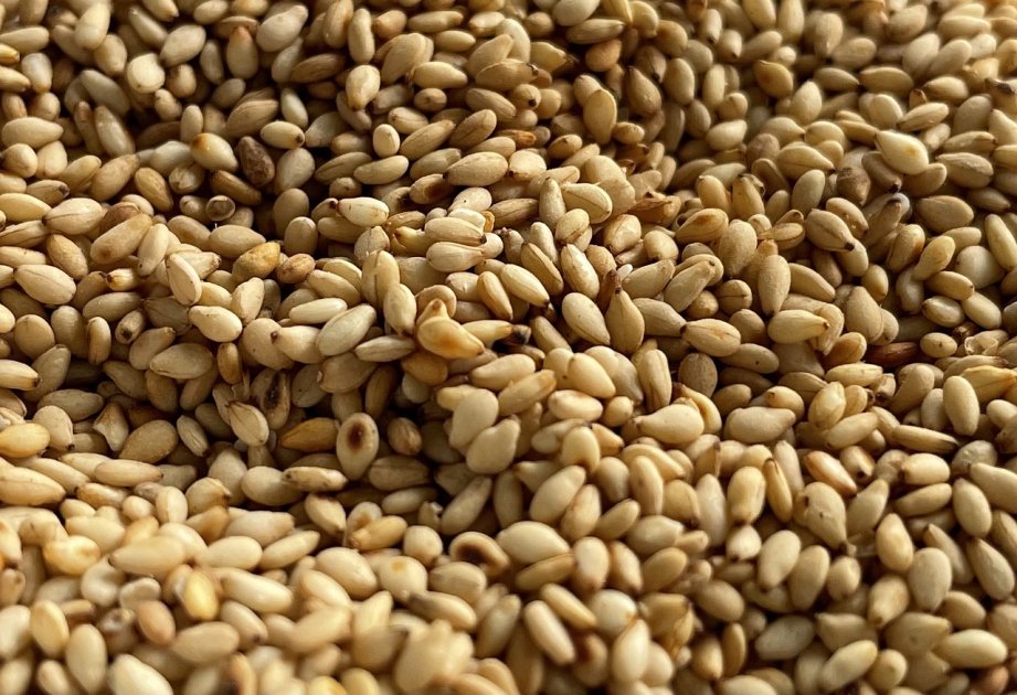 Facts about Sesame | Wikifarmer