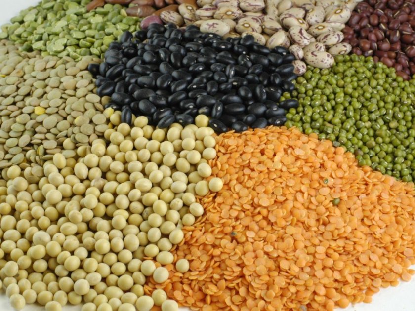 The Environmental, Nutritional, and Health Benefits of Pulse-Enhanced ...