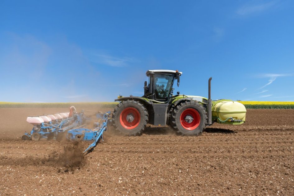 Canola Planting Guide: Soil Requirements, Seeding Rates, and Best ...