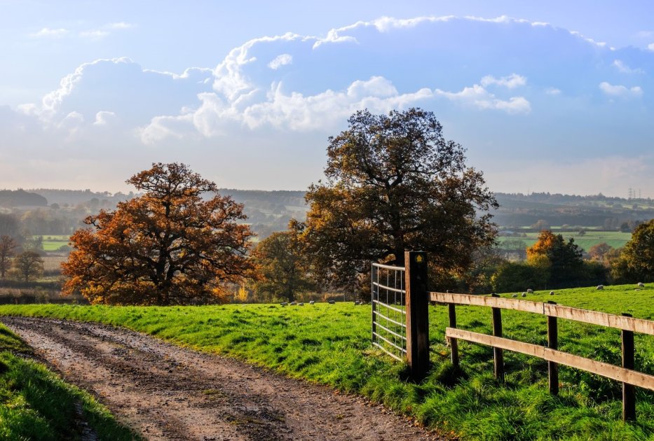 농업 생태계란 무엇일까요? | Wikifarmer