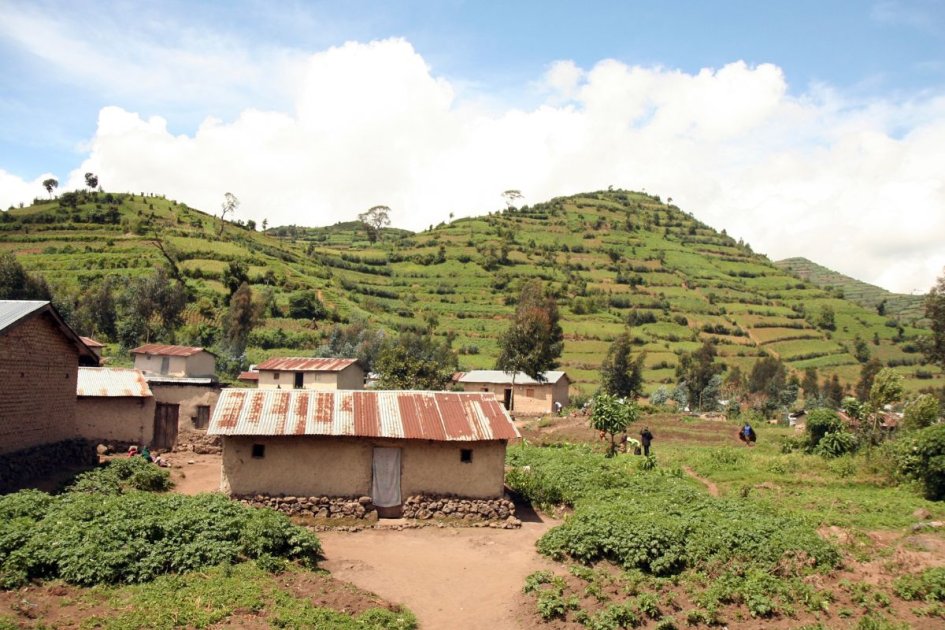 Rwanda’s Agricultural and Economic Landscape: Challenges and ...