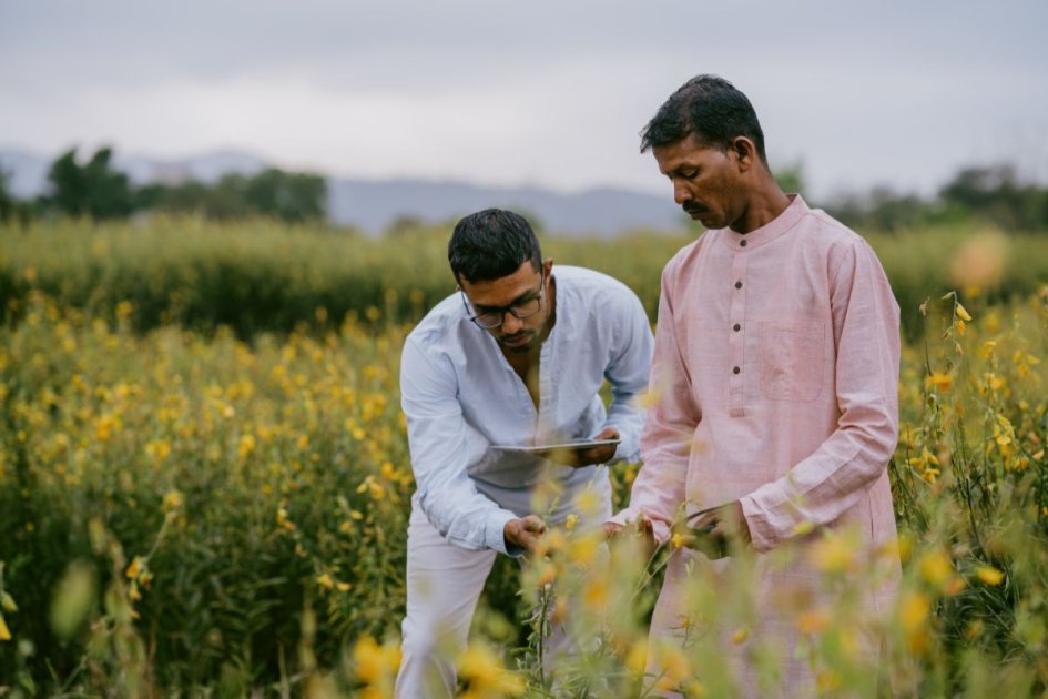 A Guide to Starting a Successful Farm in India: Key Considerations ...