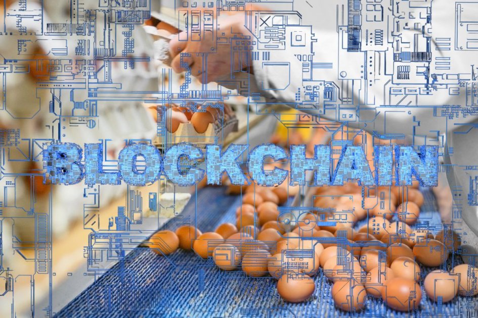 How blockchain and training enhance transparency, safety, and trust in ...