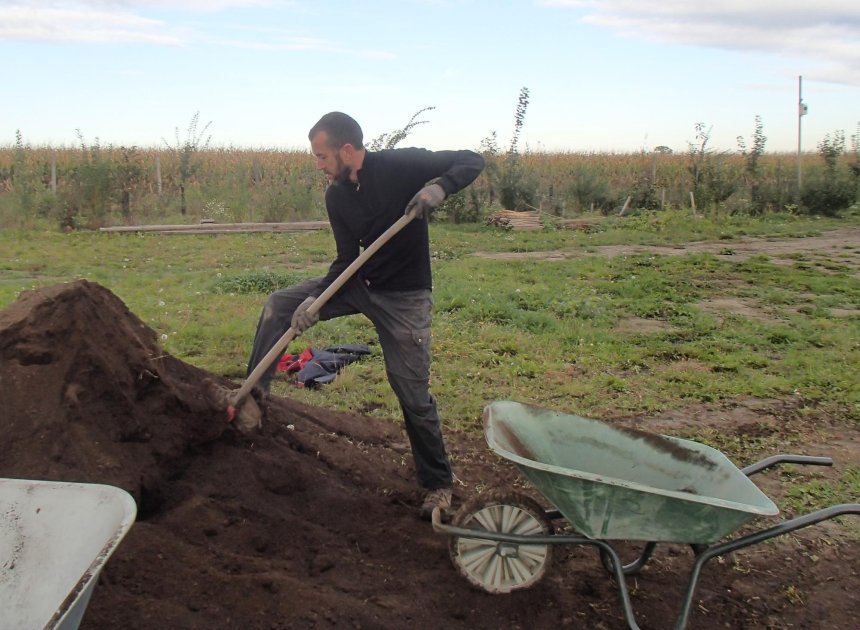Sustainable Farming Success: How 3 European Farms Are Pioneering ...