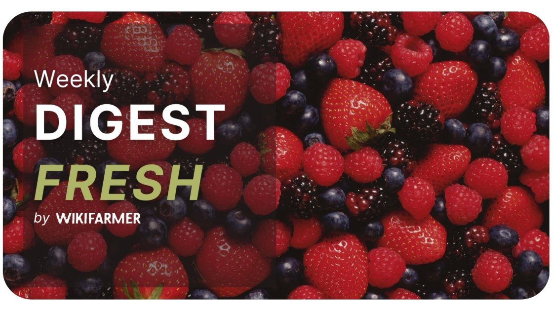 Berries Market Digest w12/2025 | Wikifarmer