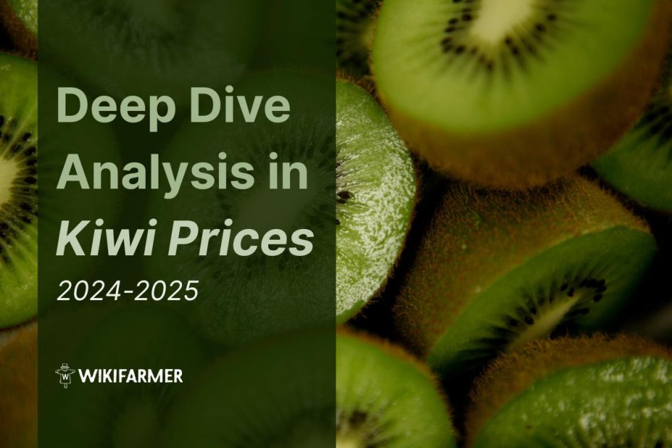 Deep Dive in Kiwi Prices: A Comprehensive Price Study 2024-2025 ...