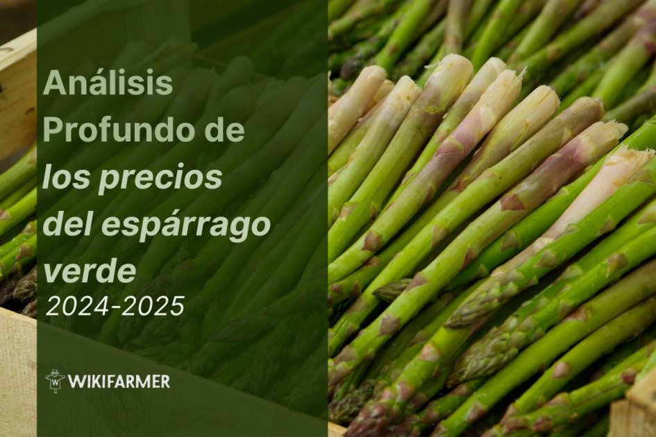 Análisis Profundo de los Precios del Espárrago Verde Un Estudio ...