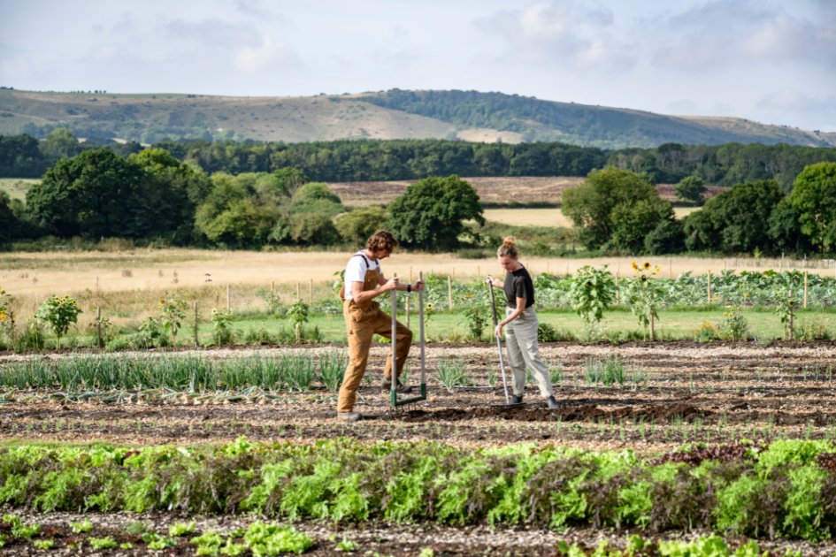 The Complete Guide to Regenerative Agriculture: Benefits, Methods, and ...