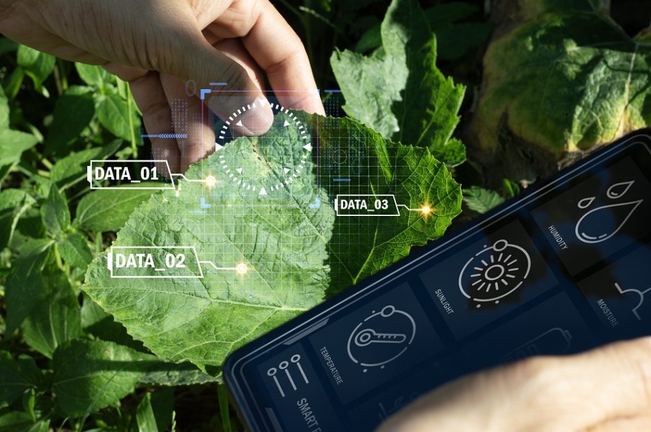 Data Annotation in Agriculture: Ensuring Usability for Machine Learning ...