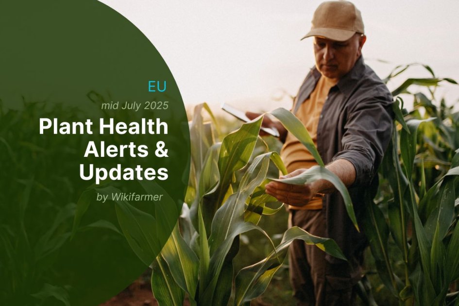EU Plant Health Alerts: mid July 2025 - Overview for Farmers | Wikifarmer