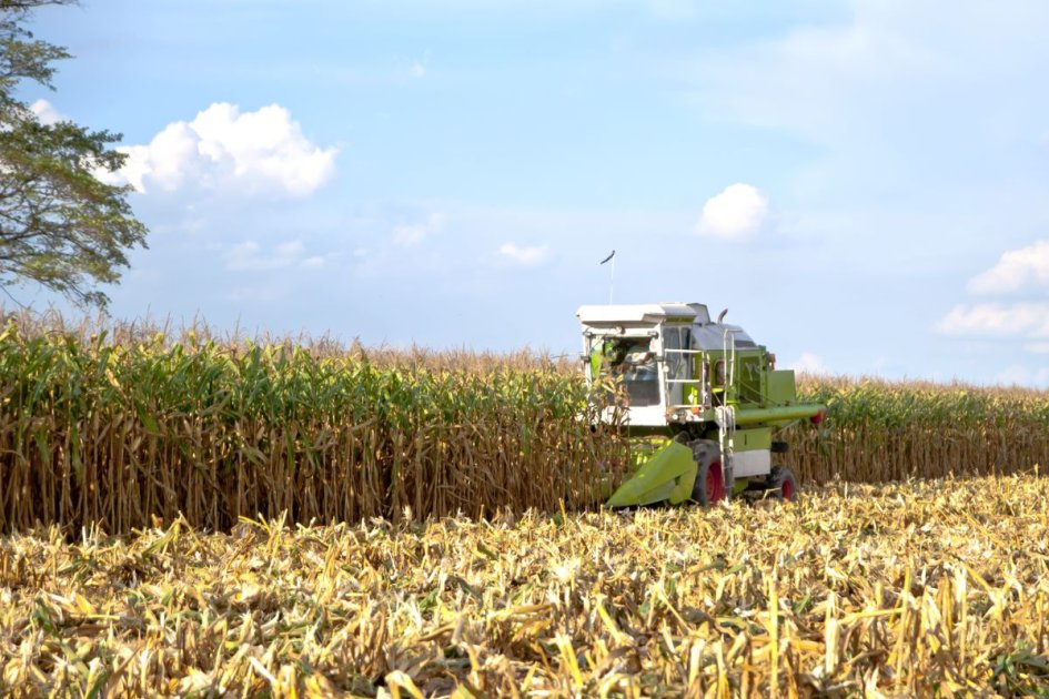 Essential Field Activities for EU Farmers in August 2025: Cereals ...