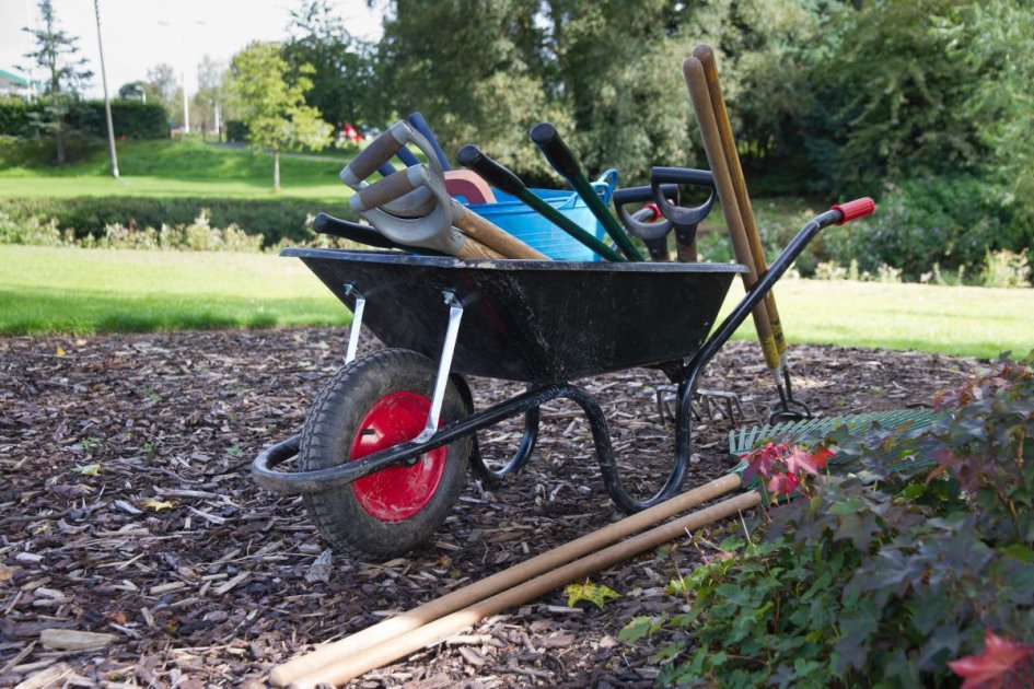 Guide to choosing the best gardening tools | Wikifarmer