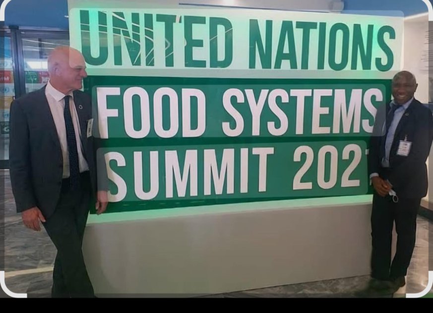 Honoring Sir David Nabarro and His Collaboration with Divine Ntiokam ...