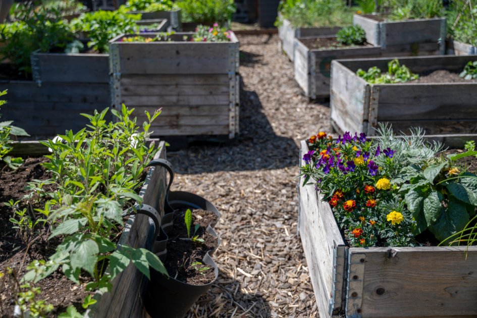 Permaculture and Raised Beds Cultivation for Small Spaces: The Ultimate ...