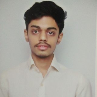 Understanding the hive hierarchy | Wikifarmer