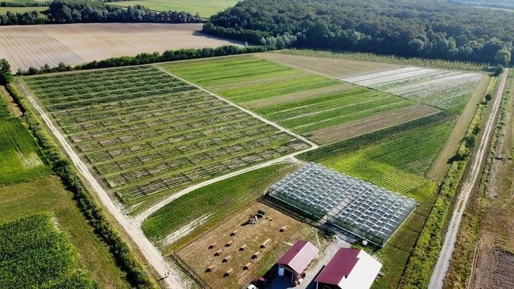Organic farming at scale: An interview with Gruntek’s head of ...