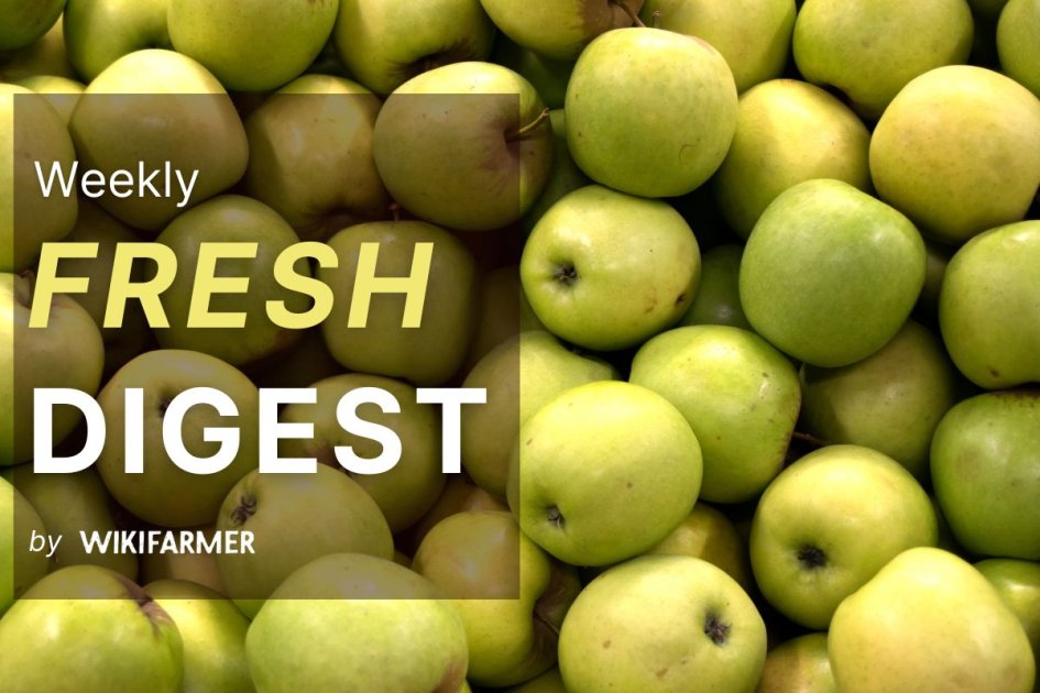 Fresh Market Digest: Week 42 | Wikifarmer