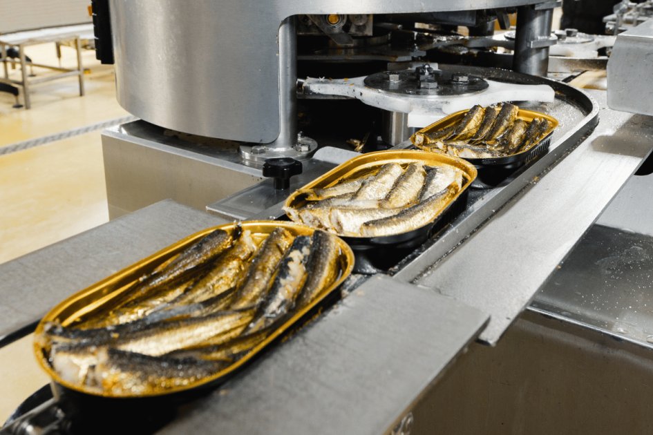 How the canned fish production process works | Wikifarmer